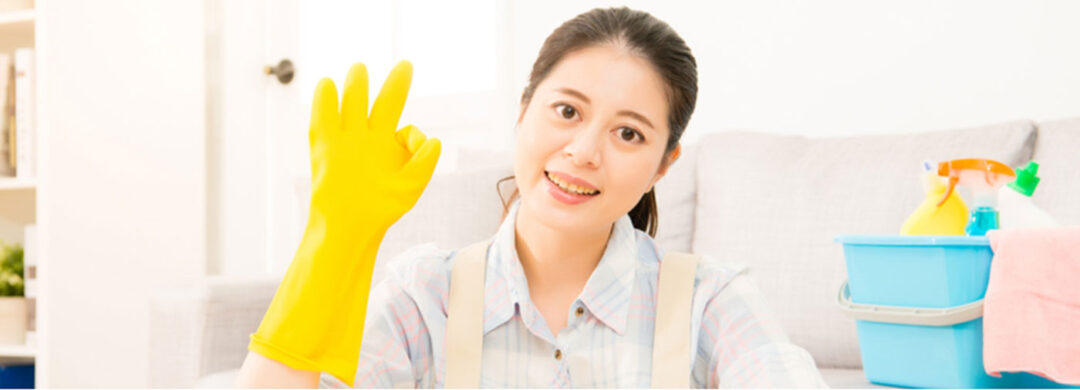 Kensington Maids | Franchise Orchard